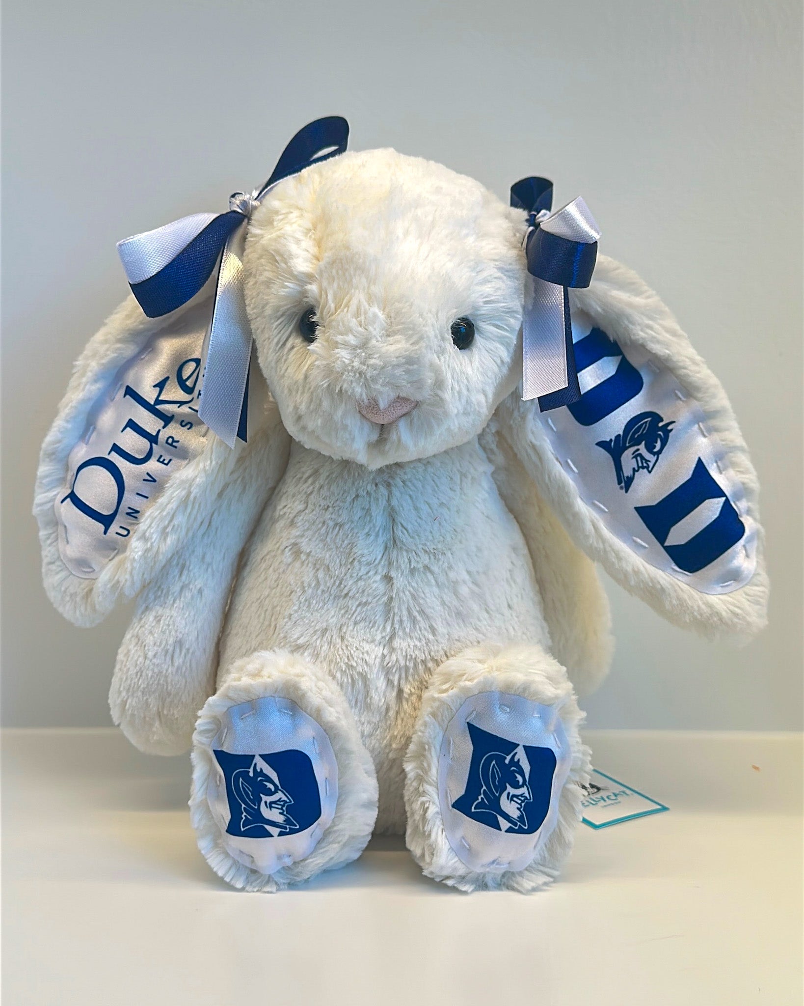 Fully Custom Jellycat Plush – 4U Dezigns